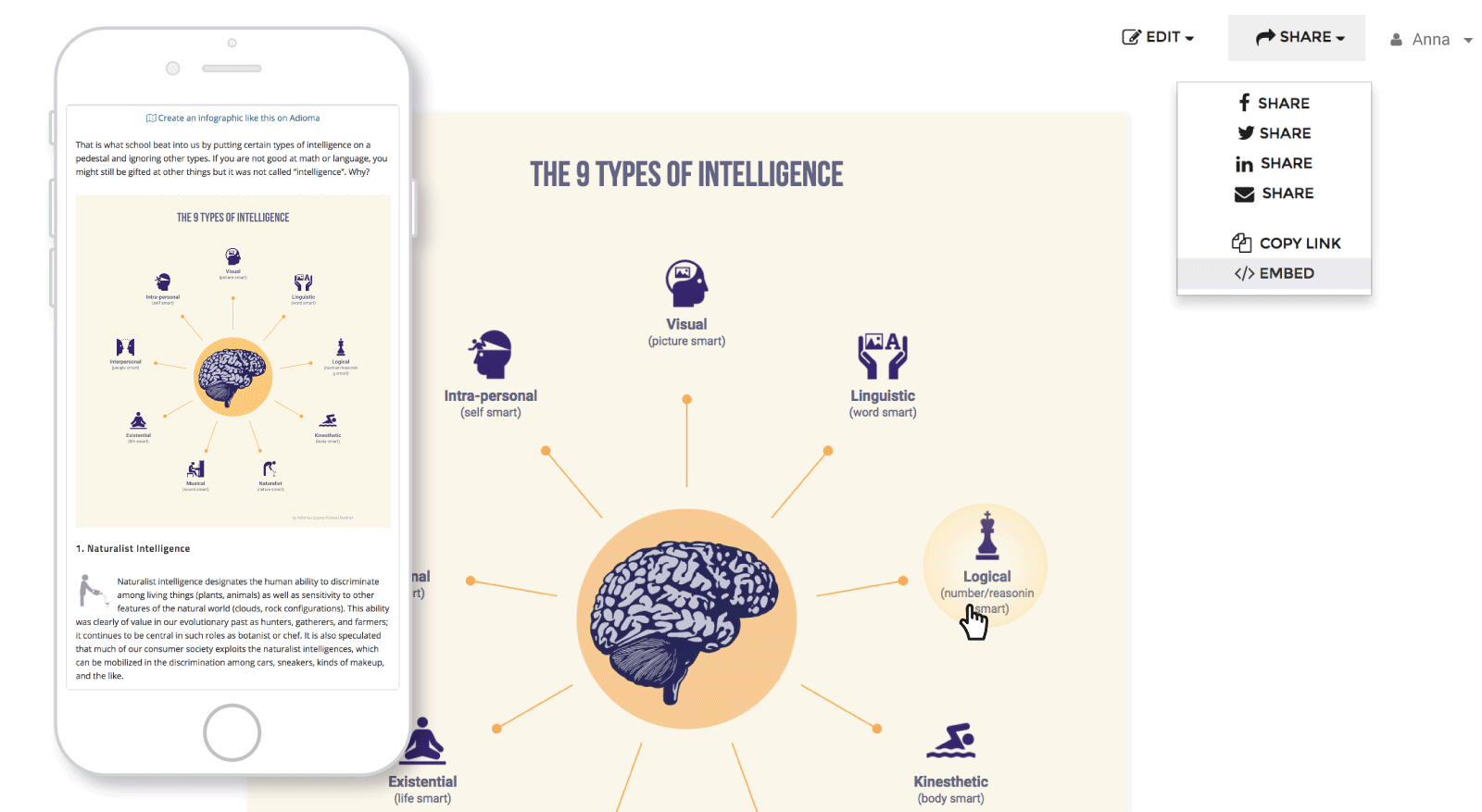 Adioma - Infographic Maker With Timelines, Grids and Icons
